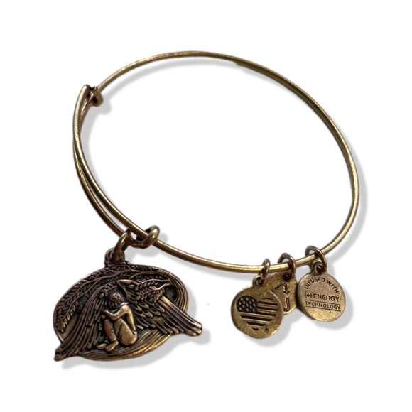 Alex and Ani | Jewelry | Alex And Ani Guardian Of Healing Bracelet Rafaelian Gold Charm Bangle ...